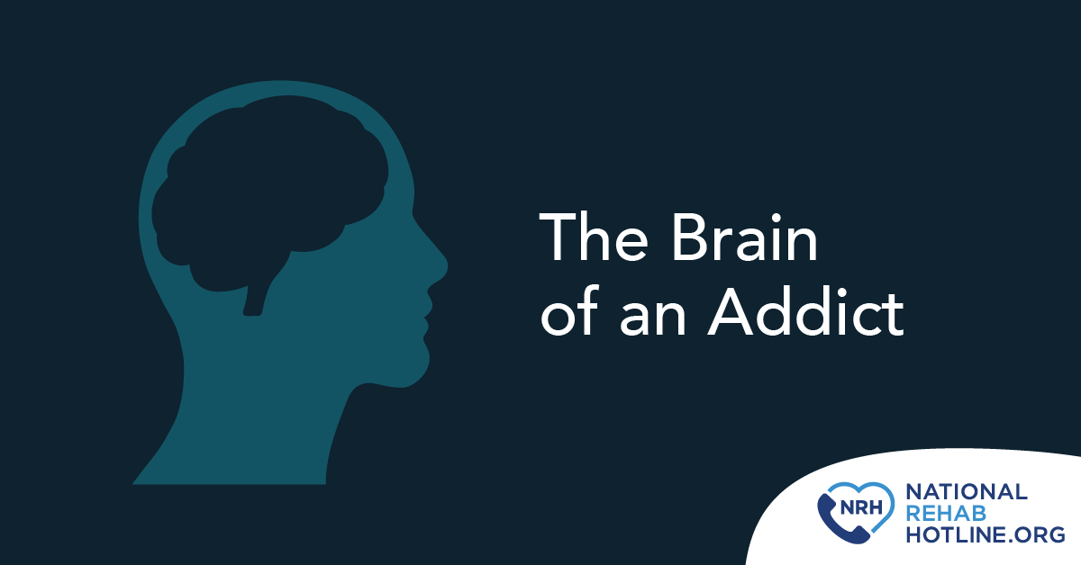 The Brain of an Addict - National Rehab Hotline